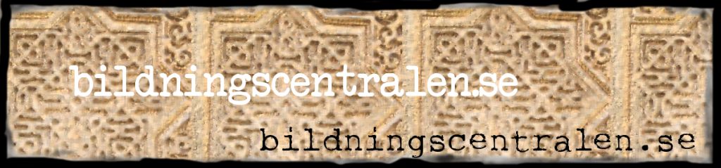 Samhällskunskap 1b 2022-2023 - bildningscentralen.se